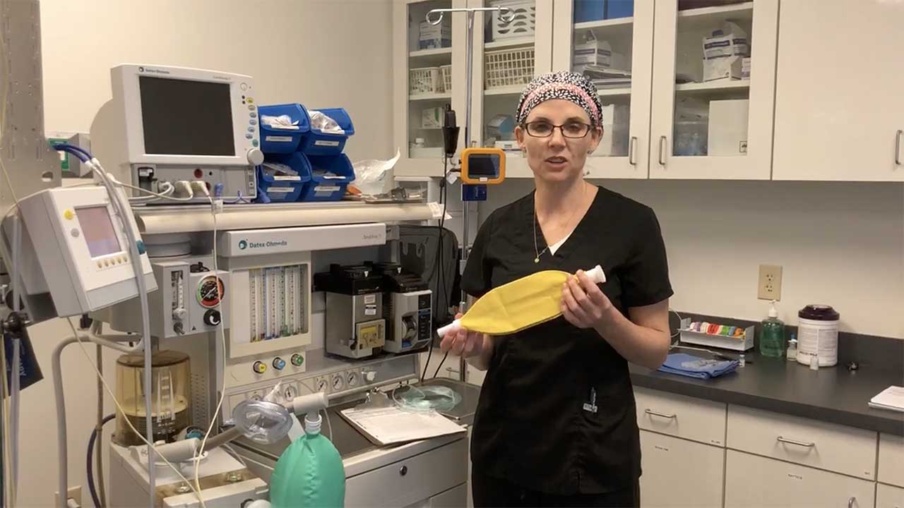 PeDIA Anesthesia Balloons- Lift Spirits of Kids Undergoing Surgery!